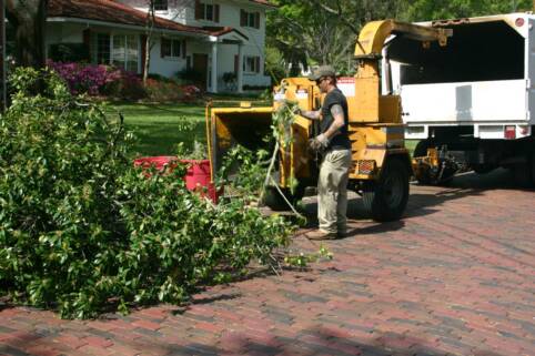Gallery - Peninsula Tree Service
