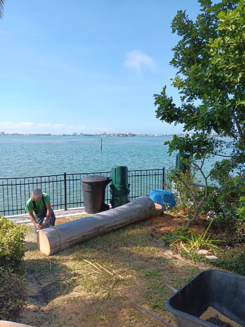 Gallery - Peninsula Tree Service