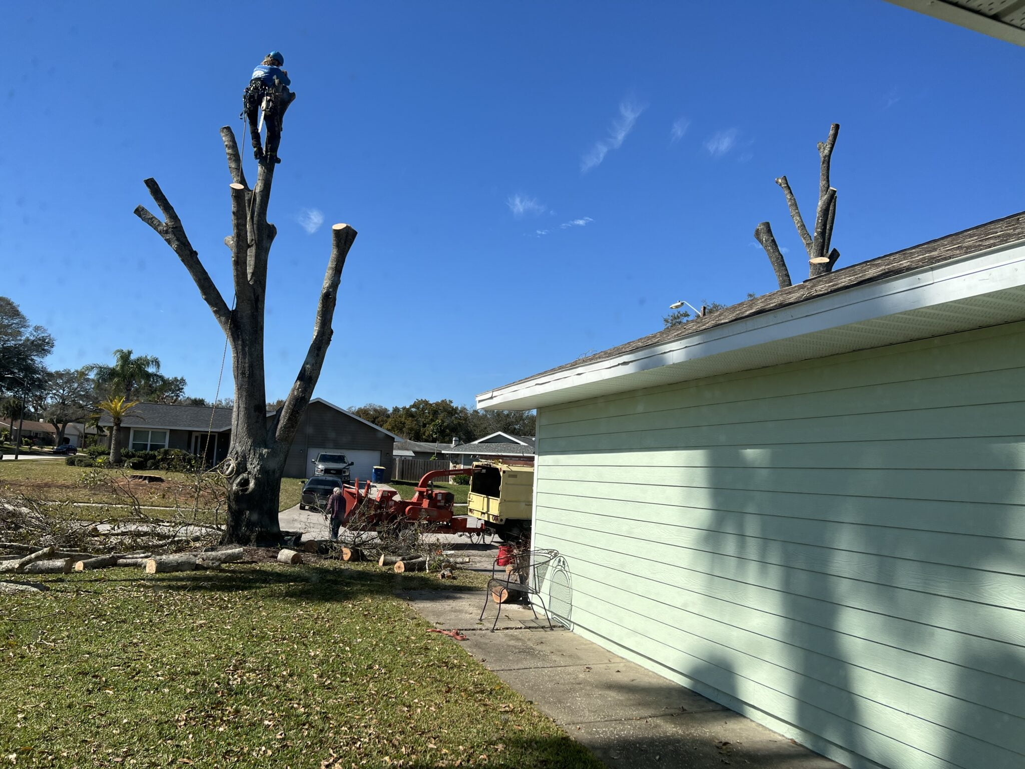 Gallery - Peninsula Tree Service